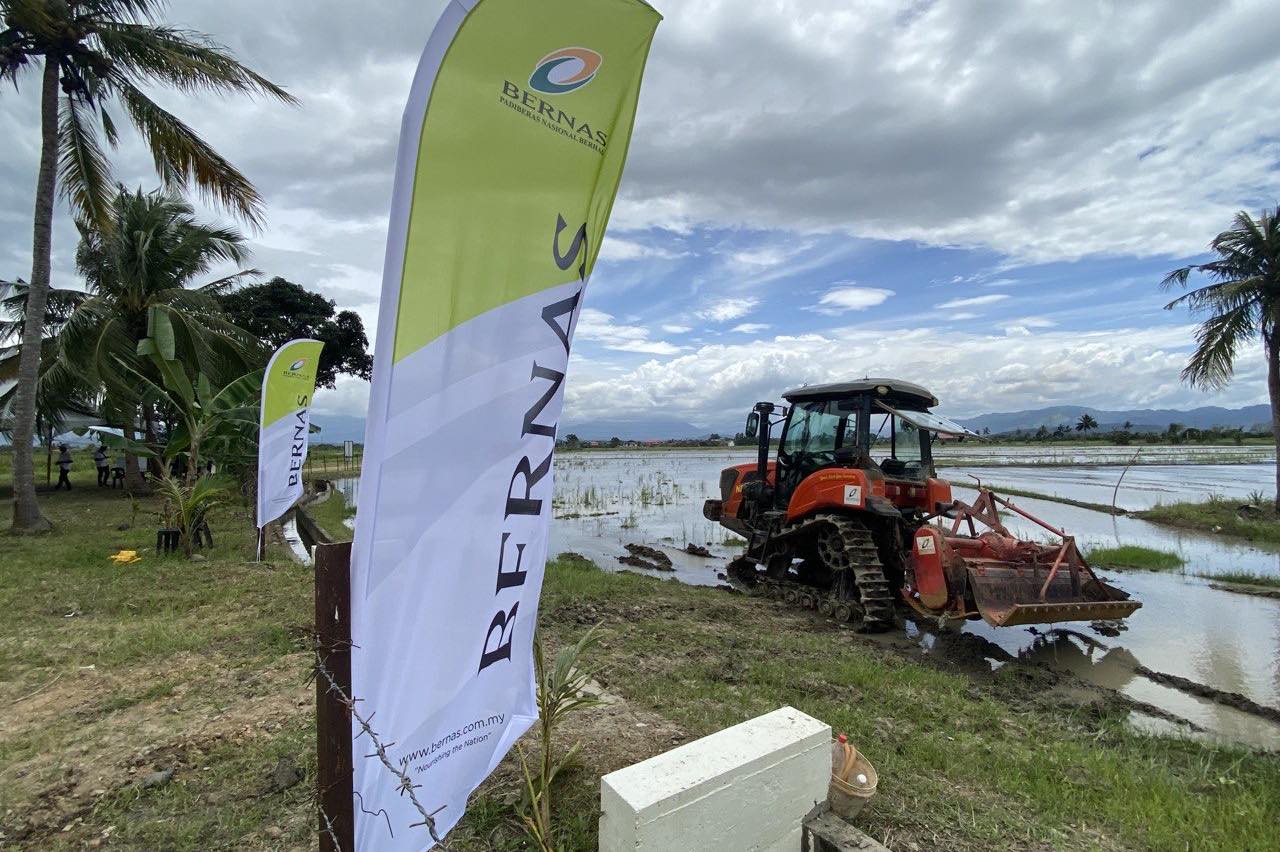 Bernas bantu usaha kerajaan tawar harga beras putih import lebih rendah ...